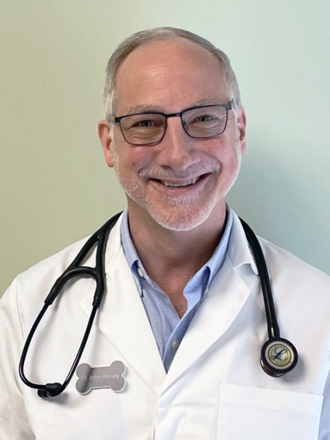 Staff of Eastern Shore Animal Hospital, Grandy NC Vets