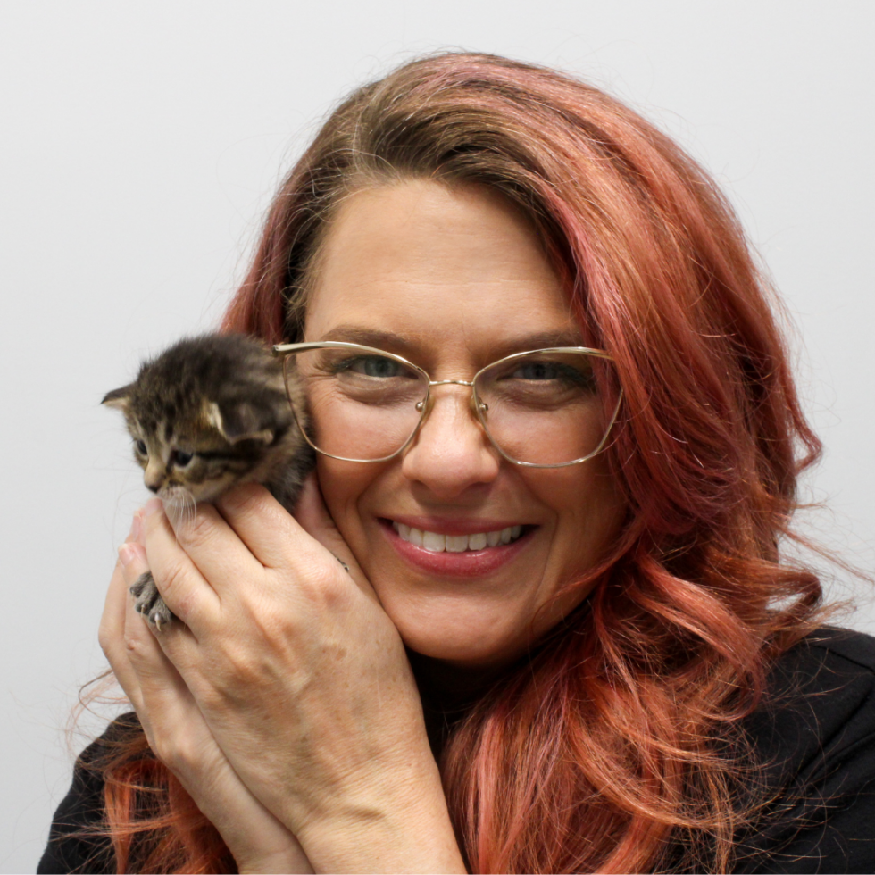 Veterinarians | Grandy, NC | Eastern Shore Animal Hospital & Urgent Care